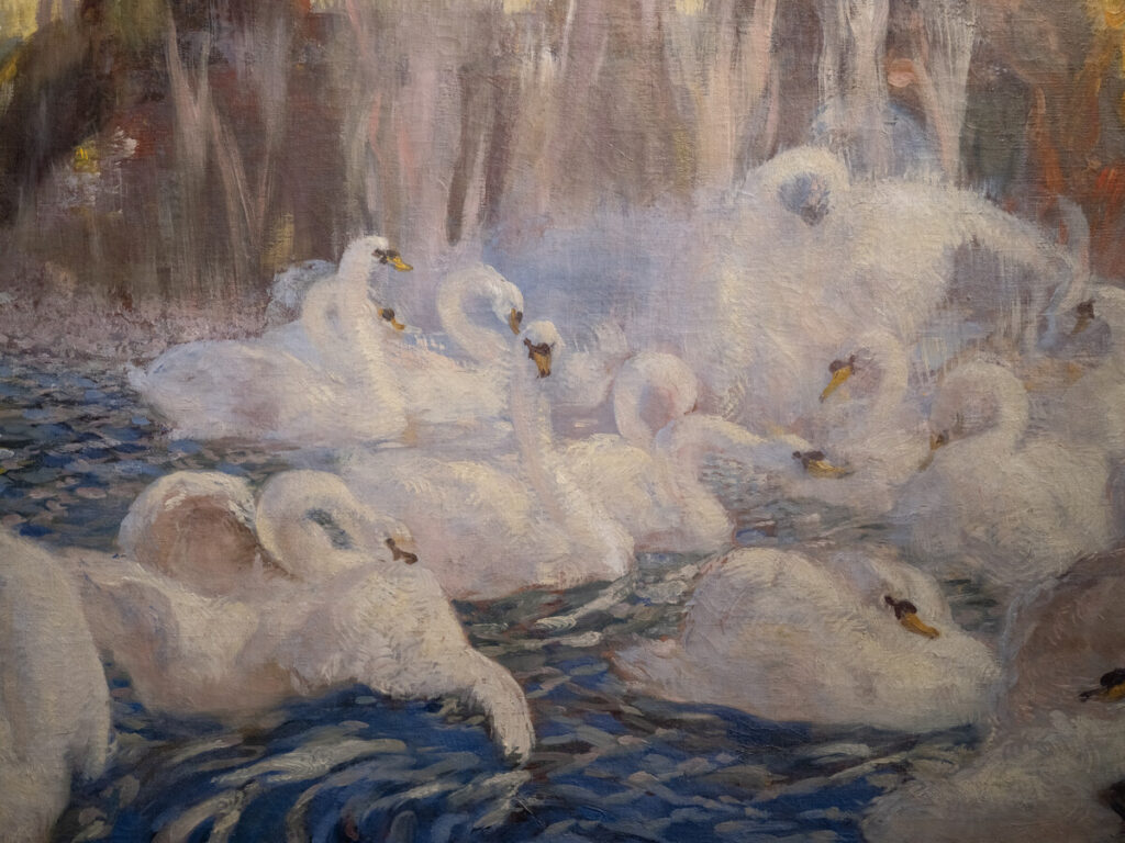 Fine Art - Brighton & Hove Museums