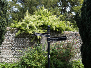 Preston Manor & Gardens - Brighton & Hove Museums