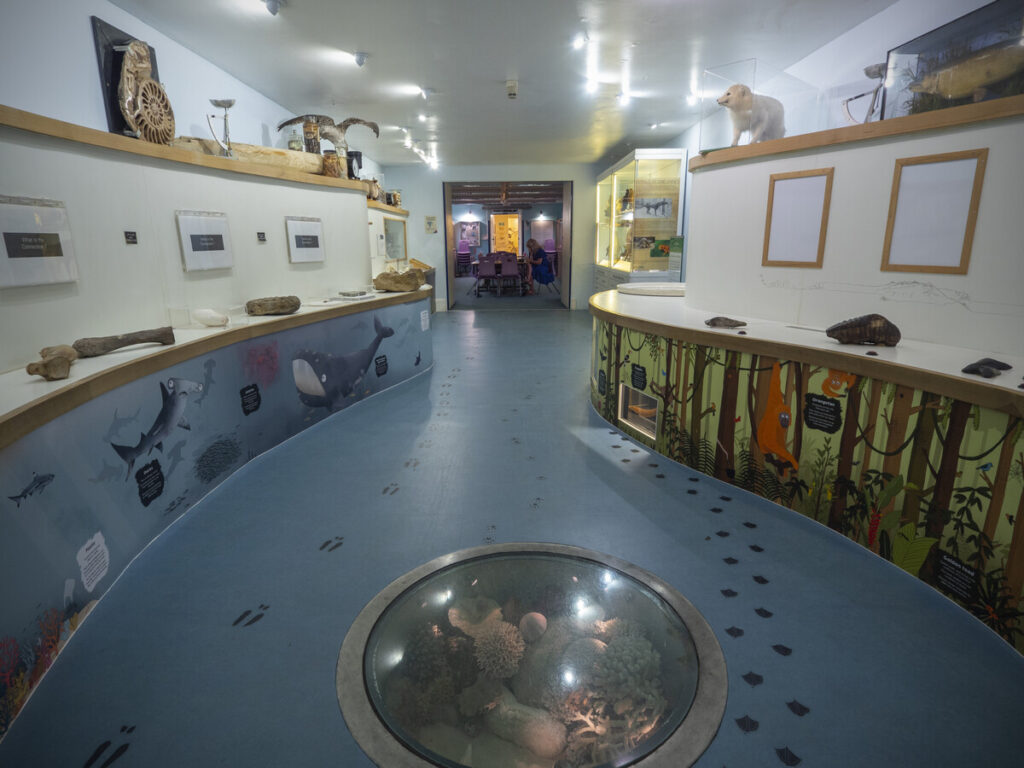 Discovery Lab - Brighton & Hove Museums