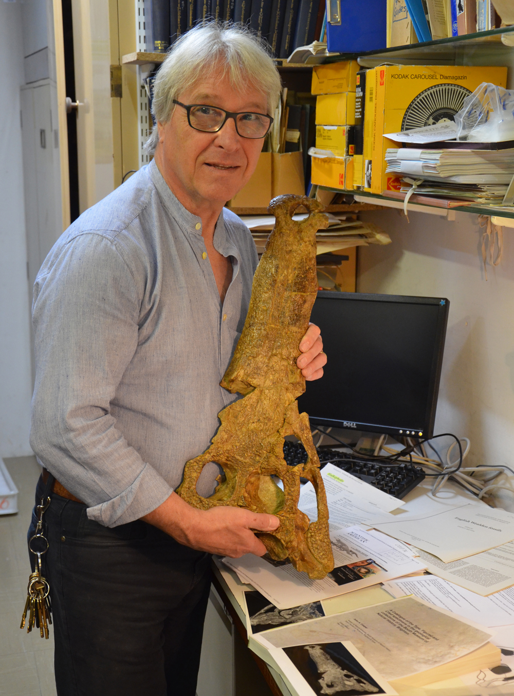 Happy days for fossils at the Booth Museum - Brighton & Hove Museums