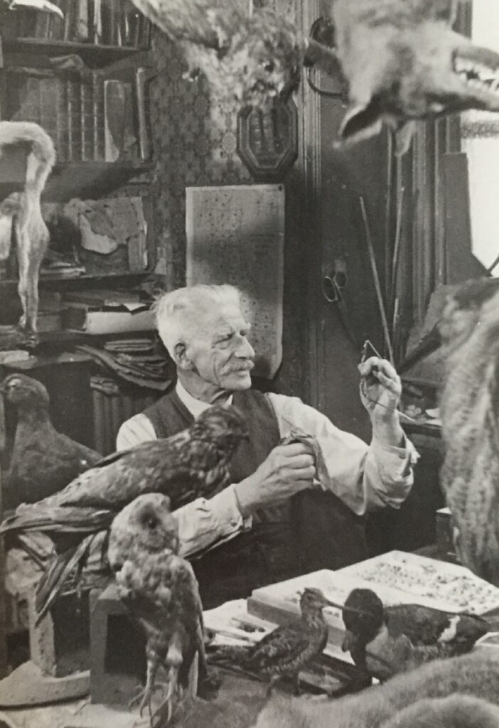 The Mysterious Death of Miss Nellie Pratt - Brighton & Hove Museums