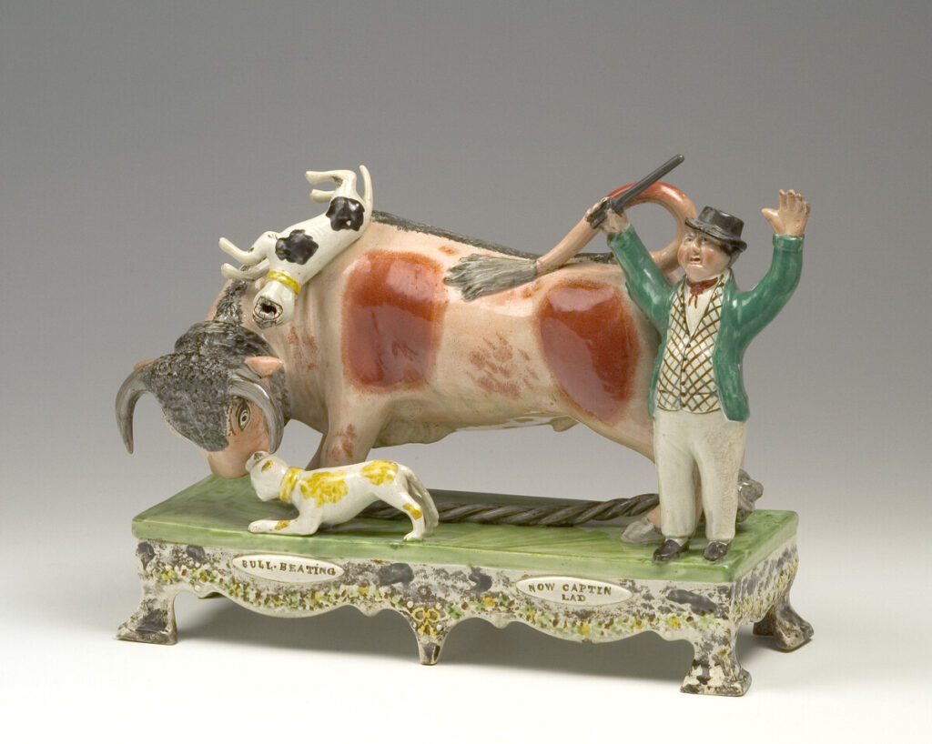 Animals - Brighton & Hove Museums