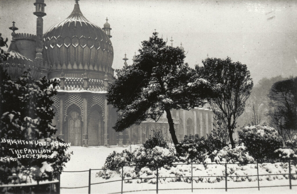 The Cat and the Cardinal – A Story from the Royal Pavilion Gardens ...