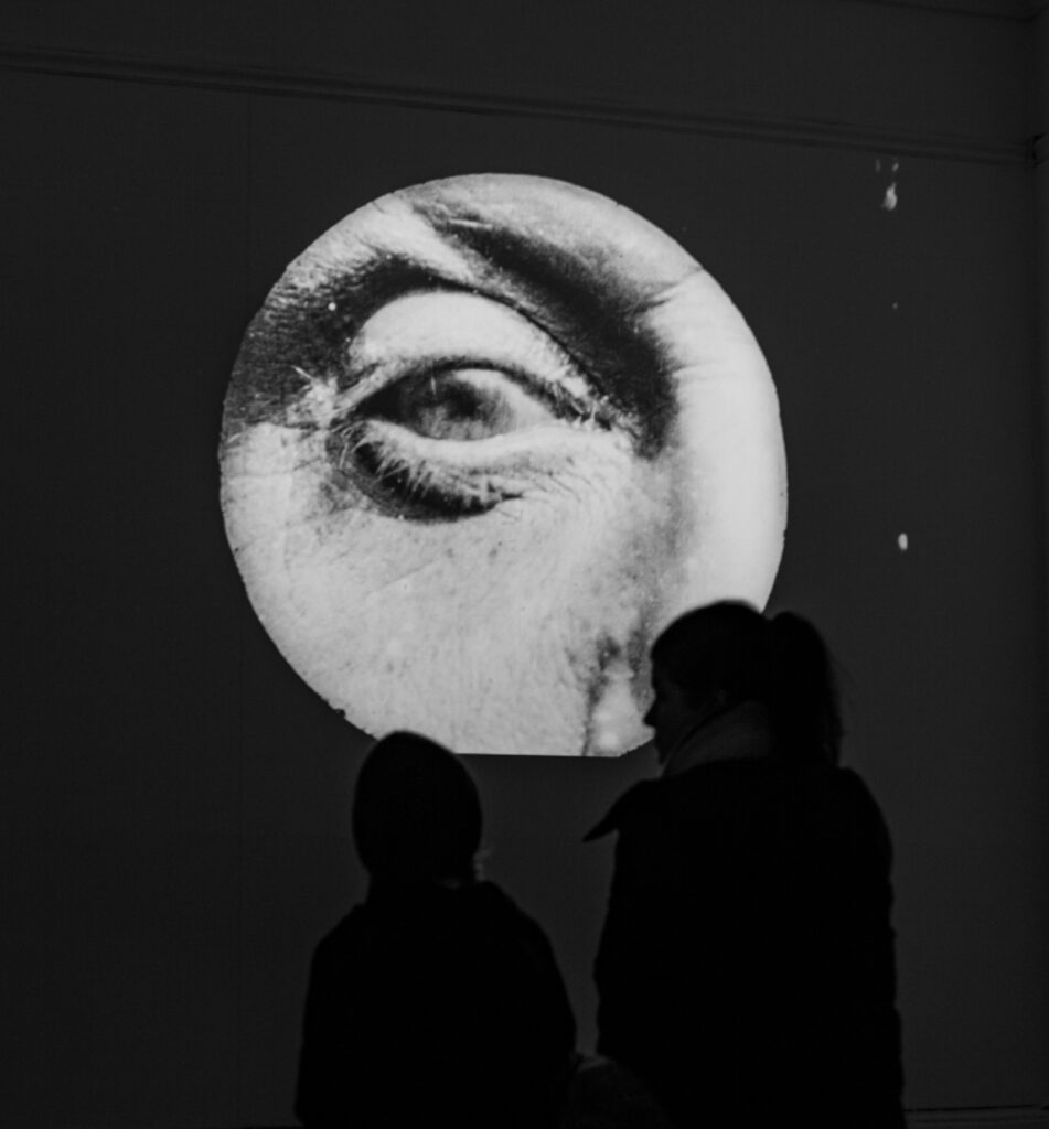 Hove Museum of Creativity - Brighton & Hove Museums