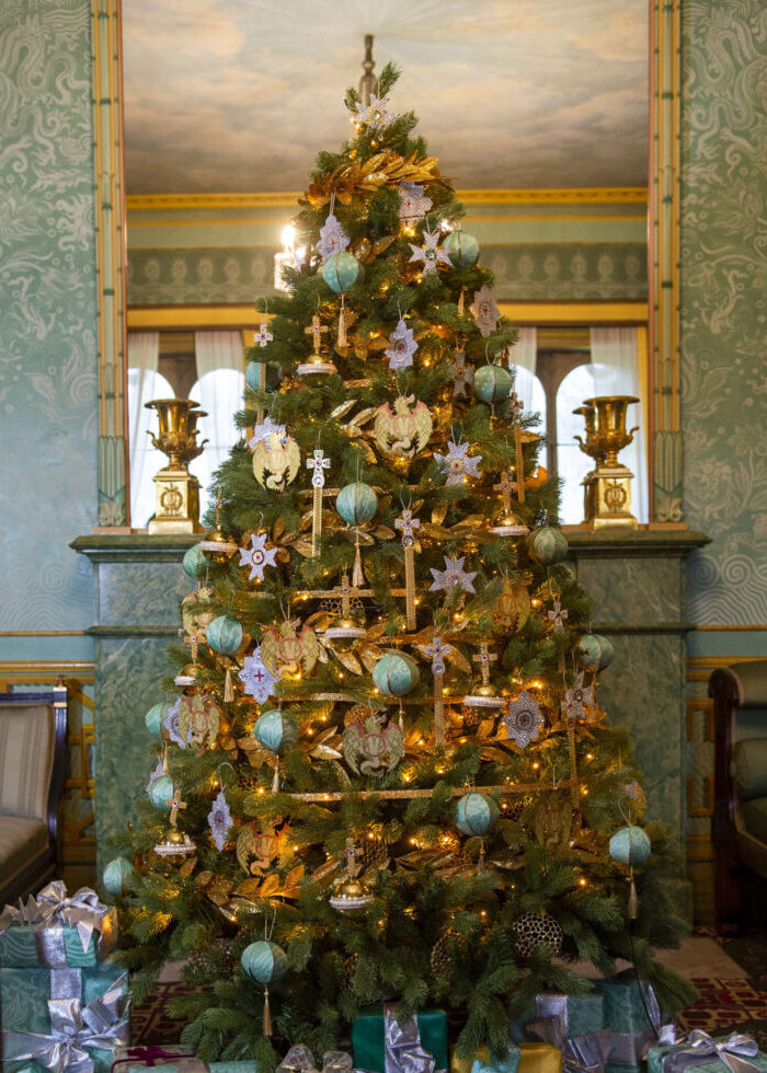 What's On - Brighton & Hove Museums