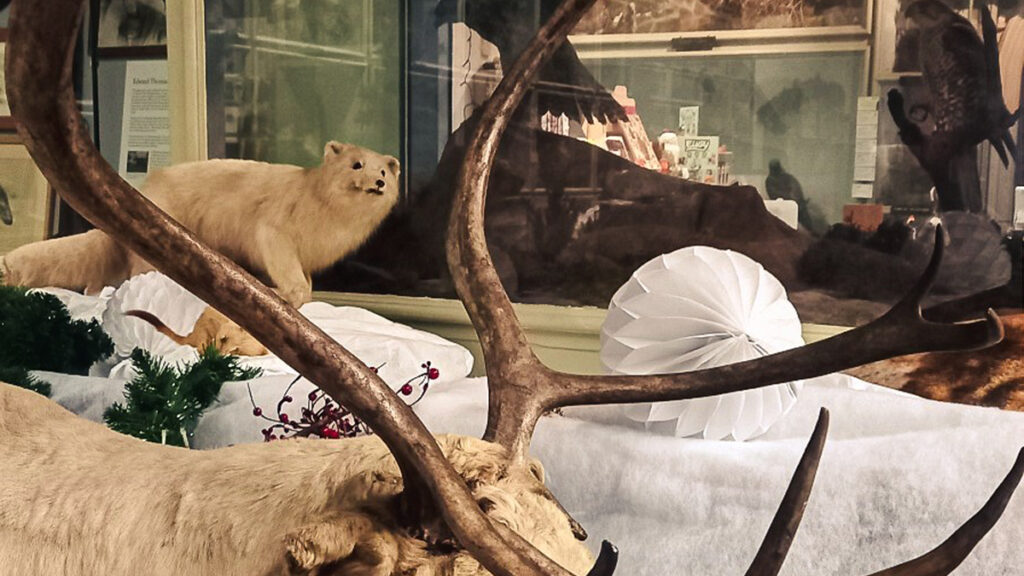 Mid-Century Millennial